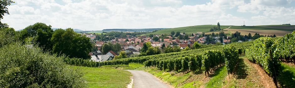 Gutenbornerhof - Weingut Born und Campingplatz in Alzey-Weinheim ...